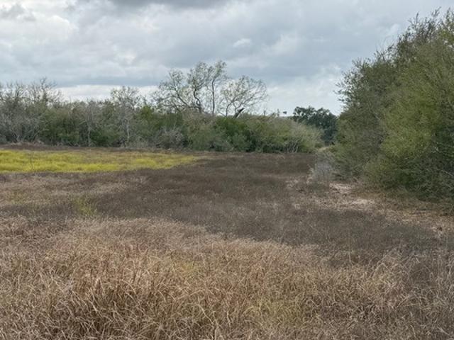 4689 County Road 302