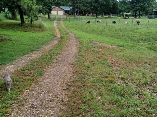 468145 Road