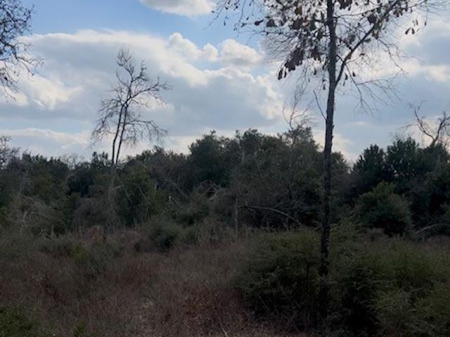 46833 Old Houston Hwy, Pine Island, TX 77445 | MLS #17142 | Compass