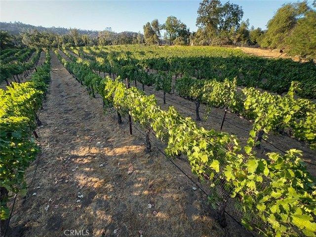 4683 Morningstar Ln, Mariposa, CA 95338