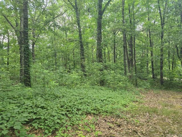 468 County Road 320