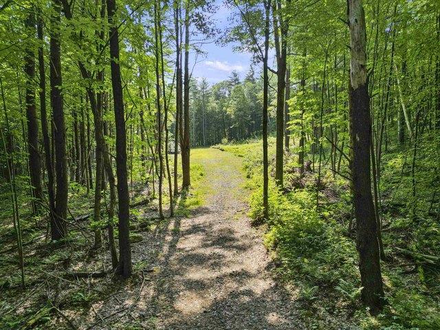 468 Skyboro Rd, Pownal, VT 05261