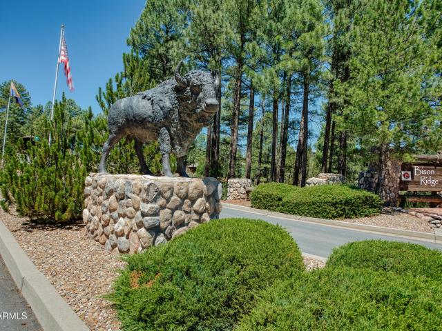 4696 W Tatanka Loop, Show Low, AZ 85901 | MLS #6903