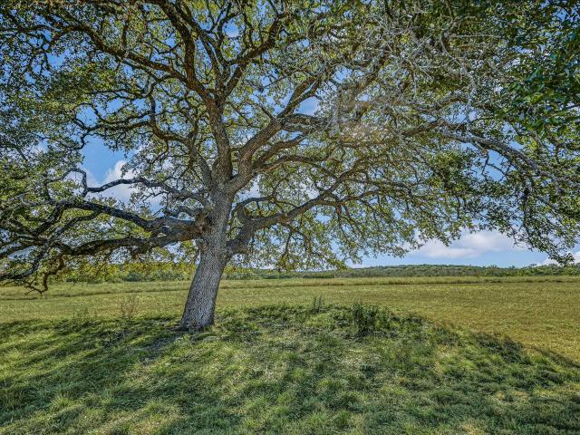 4698 fischer store rd