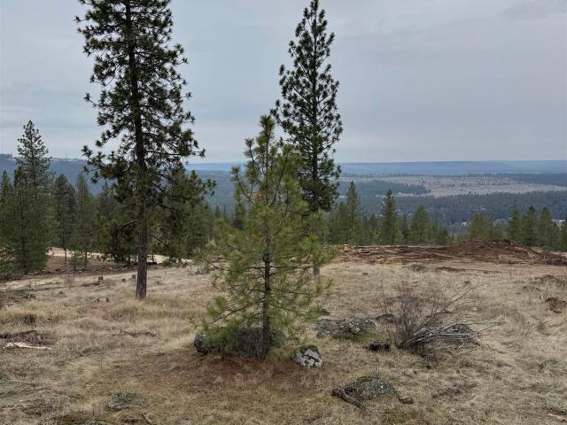 4699 W Landon Ln, Unit SITE 131, Spokane, WA 99208 | MLS #202611 | Compass