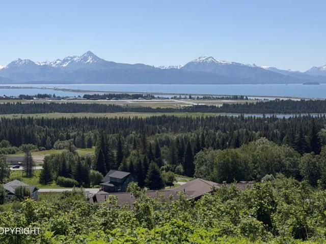 4690 Craftsman Rd, Homer, AK 99603