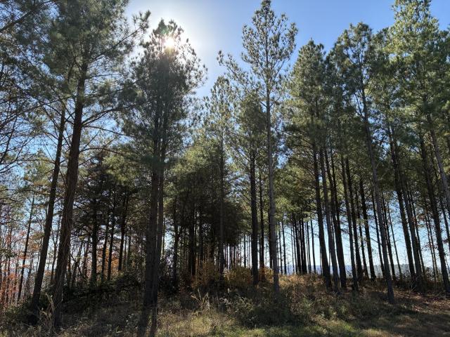 4690 Split Rail Way