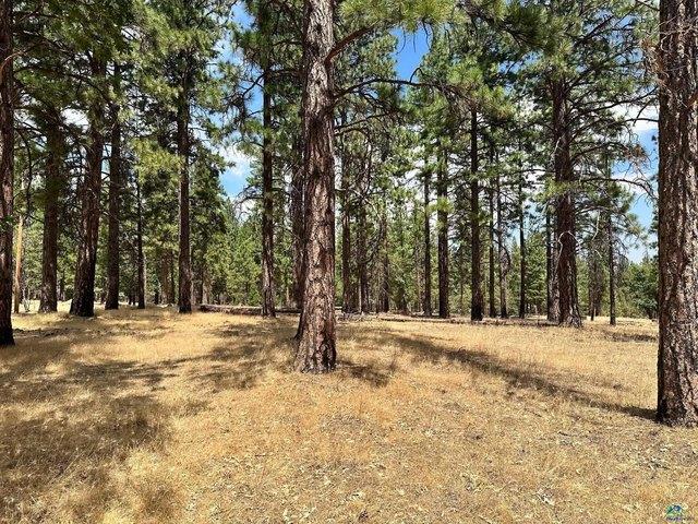 469 410 Childrens Rd, Susanville, CA 96130