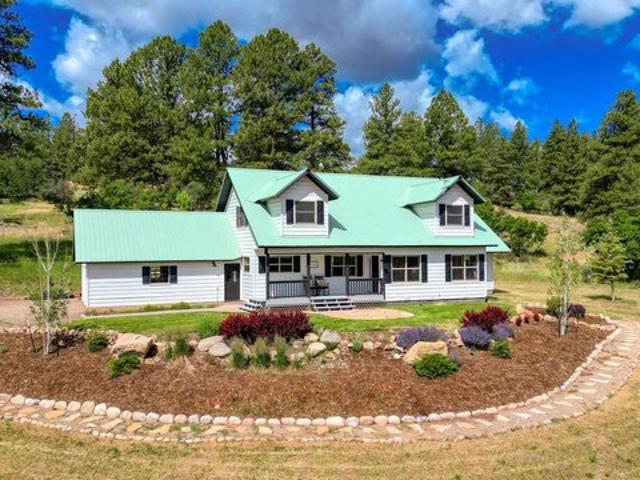469 Buck Dr, Pagosa Springs, CO 81147