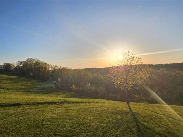 469 Dutchman Run Rd