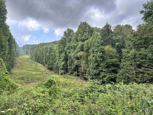 469 Karlan Rd, Pickens, WV 26230