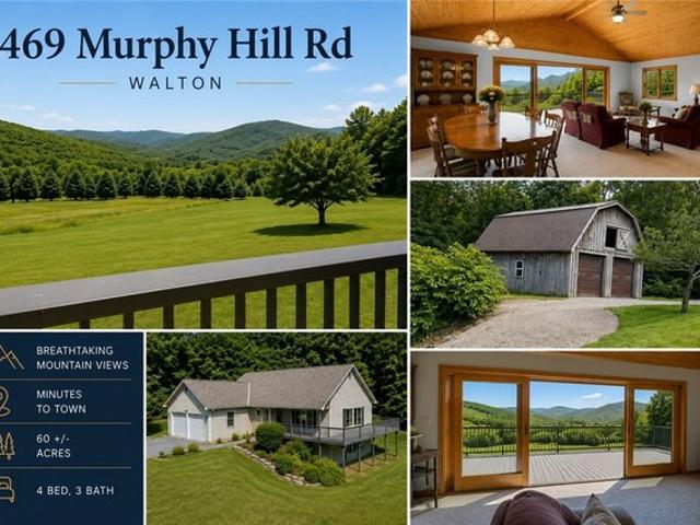 469 Murphy Hill Rd, Walton, NY 13856