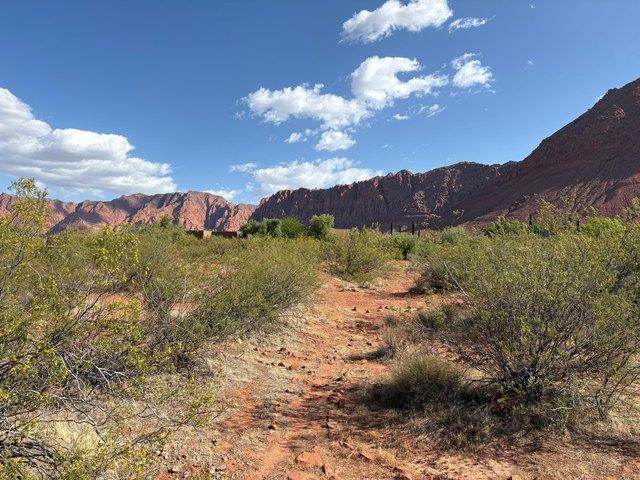469 N Bur Sage Trl Unit 164, Ivins, UT 84738