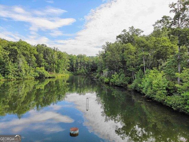 469 Pippin Cir, Clarkesville, GA 30523