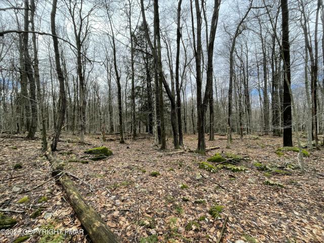 46 Tuscarora Trail