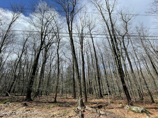 46 Tuscarora Trl, Gouldsboro, PA 18424