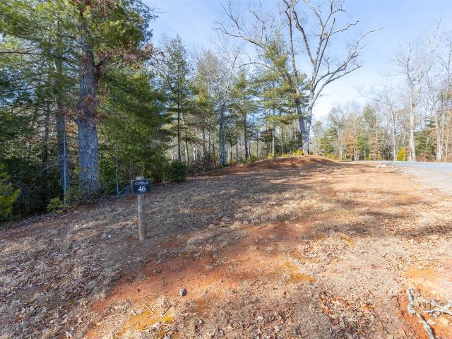 46 Amberleaf Way