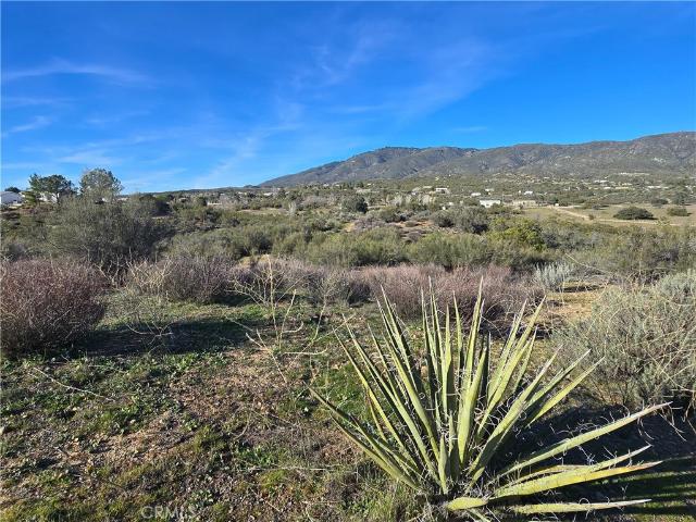 46 Anza Crest Rd, Anza, CA 92539 | MLS #DW26014