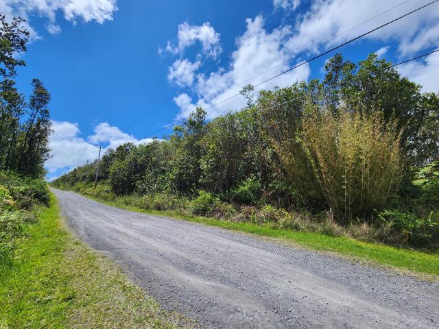 46 Apuakehau Rd, Mountain View, HI 96771 | MLS #727210 | Compass