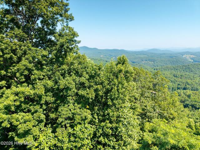 46 Buck Ridge Drive