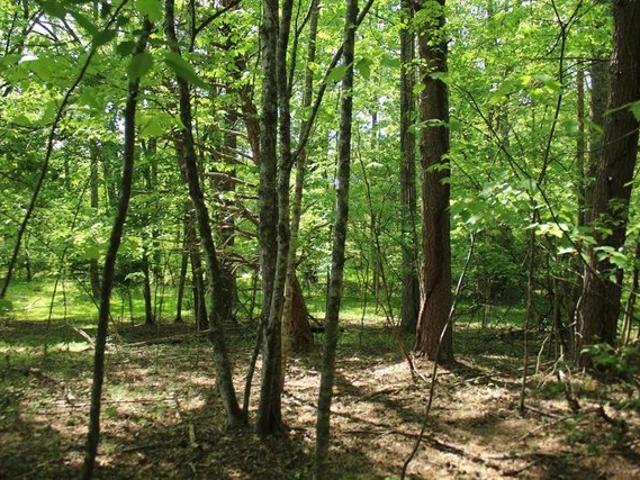 46 Chatuge Ln Lot 60, Hayesville, NC 28904