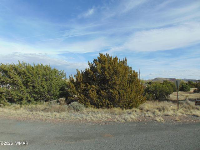 46 Crest Lane