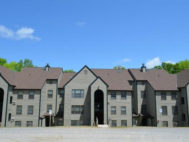 46 Fowler Rd Unit O205, Ludlow, VT 05149