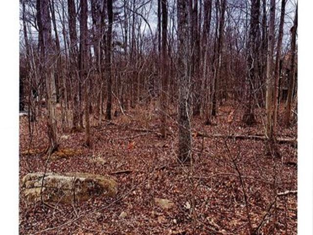 46 Gross Dr W, Pocono Pines, PA 18350