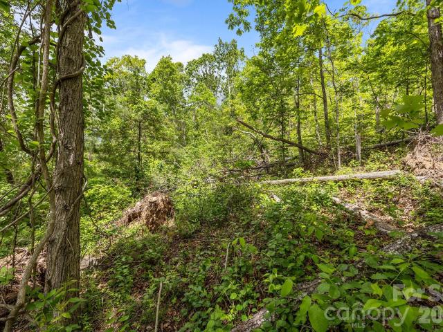 46 Hawtree Ct, Unit 255, Weaverville, NC 28787 | MLS #4256