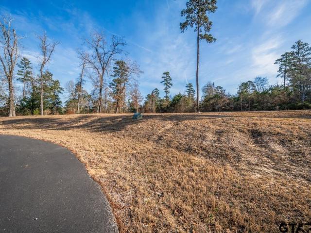46 Marble Way, Hallsville, TX 75650 | MLS #26001 | Compass