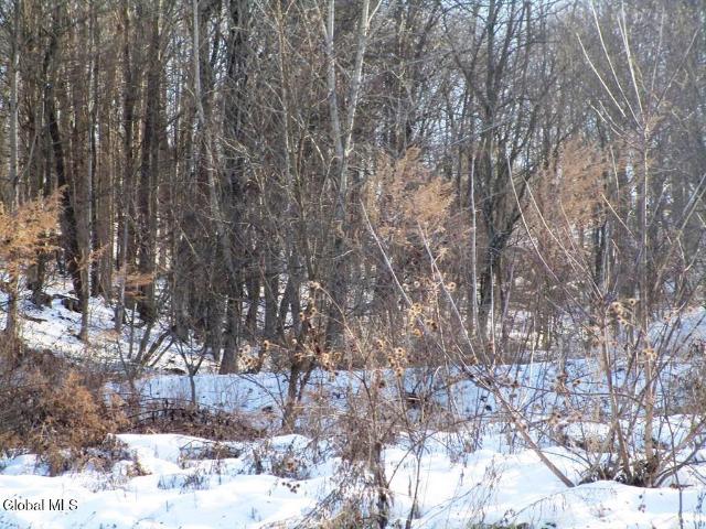 46 Michigan St, Mohawk, NY 13407 | MLS #202614