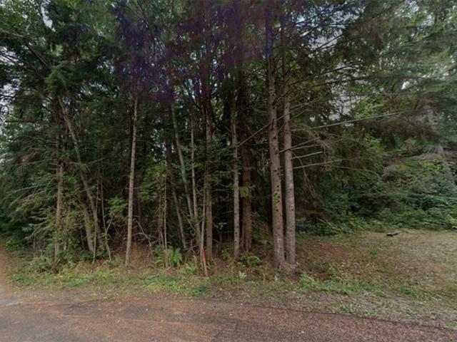 46 Mountain Trail Ct, Brinnon, WA 98320