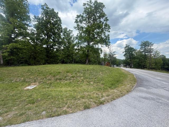 46 Red Maple Lane