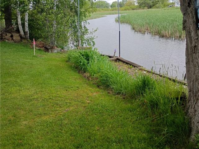 46 Ross Park Drive