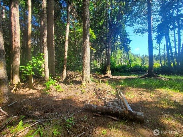 46A N Shore Pl, Hoquiam, WA 98550