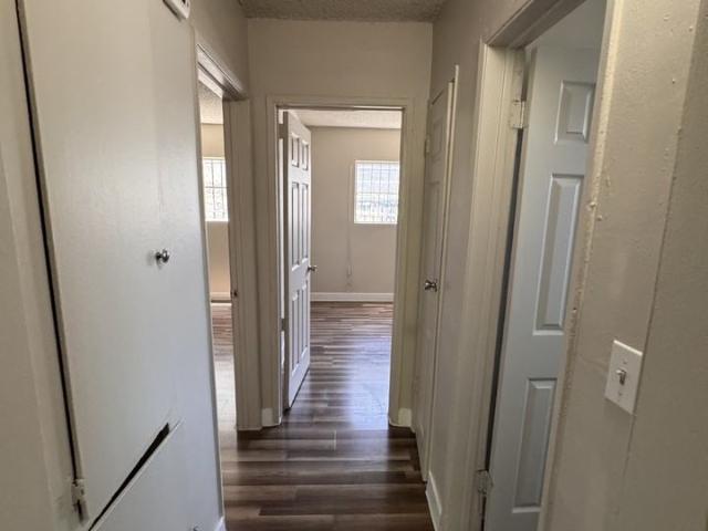 46th Street Apartments 2 Bedroom Apartment for Rent at 976 West 46th Street, Los Angeles, CA 90037 Voices of 90037