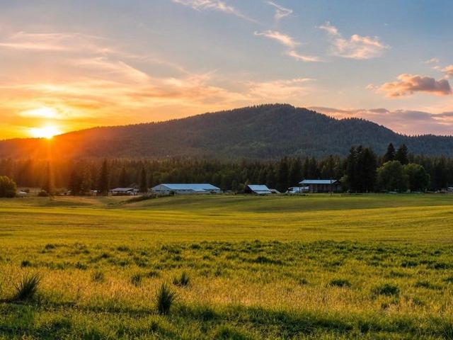 46XX Bittrich Antler Rd, Deer Park, WA 99006