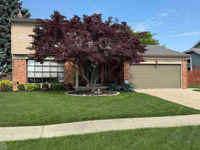 47043 Sanborn Drive