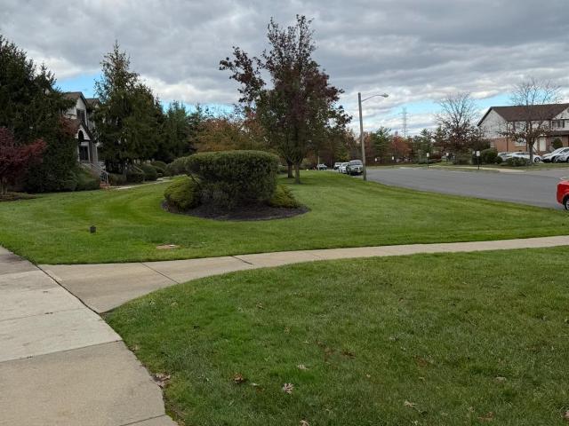 4706 Boice Drive