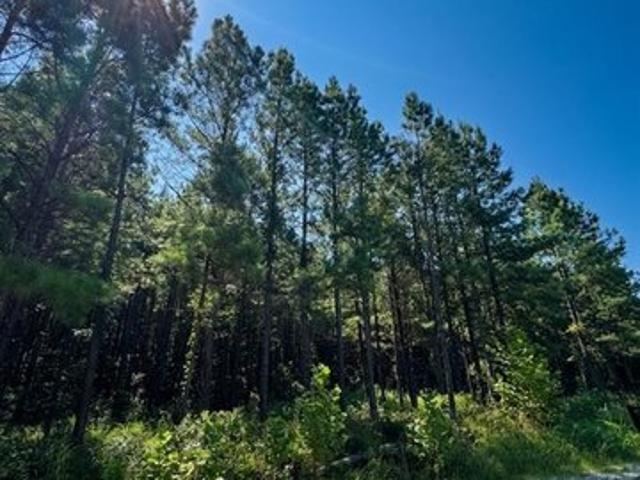 470 Creek Side Trl, Broken Bow, OK 74728