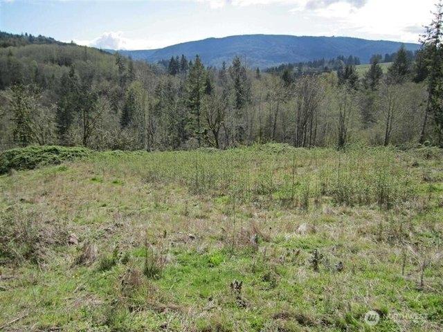 470 Italian Creek Rd, Kalama, WA 98625