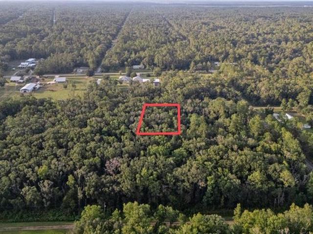 4715 Alvin St, Hastings, FL 32145