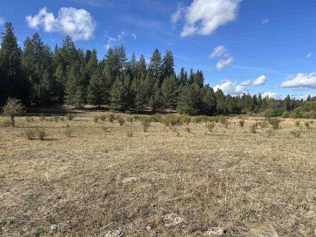 47161 0 N Northwood Dr, Mead, WA 99021
