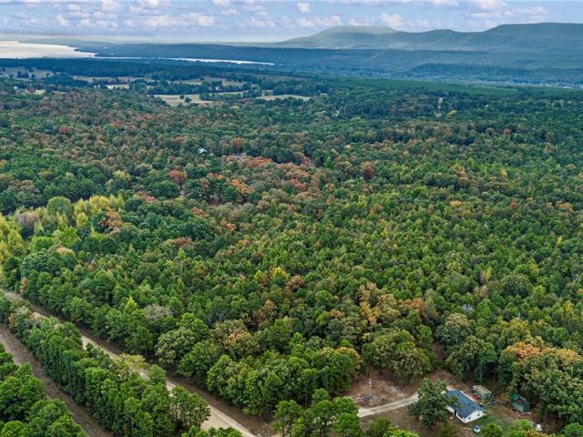 4716 River Mountain Road