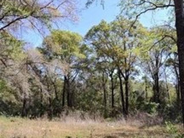 4710 John Sims Rd E, Wilmer, AL 36587