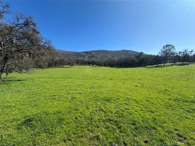471 AC Highway 49N, Mariposa, CA 95338