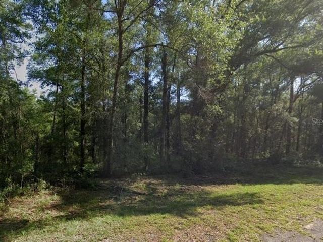 471 E Avondale Dr, Citrus Springs, FL 34434