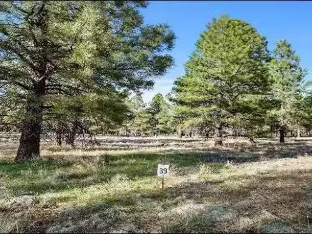 471 S Pinehurst Dr, Williams, AZ 86046 MLS 200338