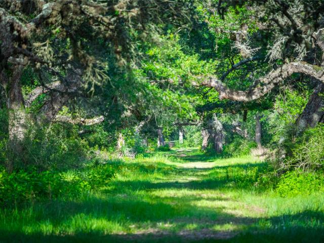 4727 County Road 19