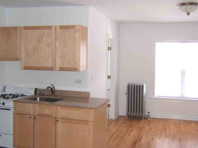 4721 S. Ellis Avenue 2 Bedroom Apartment for Rent at 4721 S Ellis Ave, Chicago, IL 60615 Kenwood